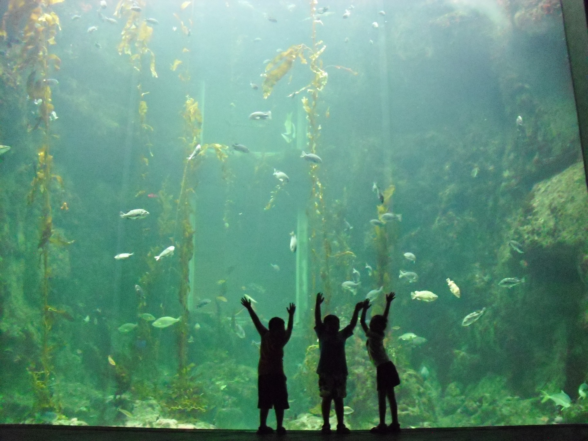 4 Fun Indoor Activities For Children Kids Fun City